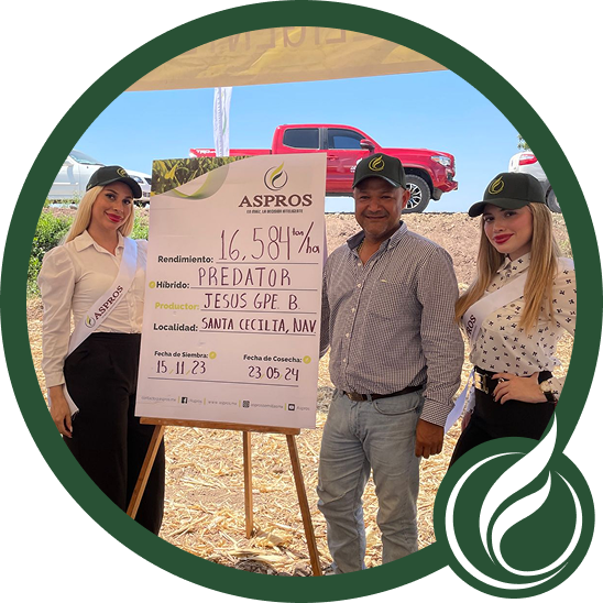 Predator de Aspros Semillas | Máximo rendimiento agrícola