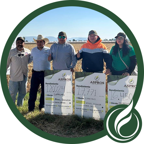 Predator de Aspros Semillas | Máximo rendimiento agrícola